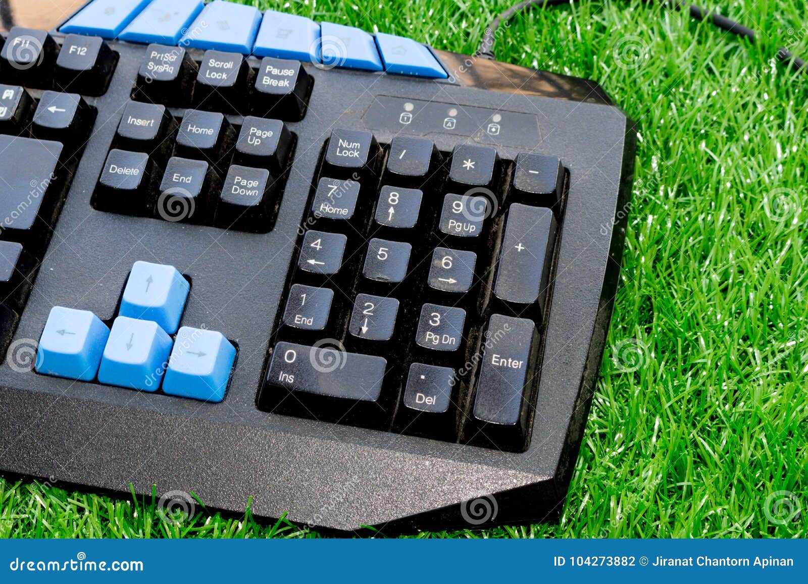 3,383 Keyboard Grass Photos - Free & Royalty-Free Stock Photos from ...