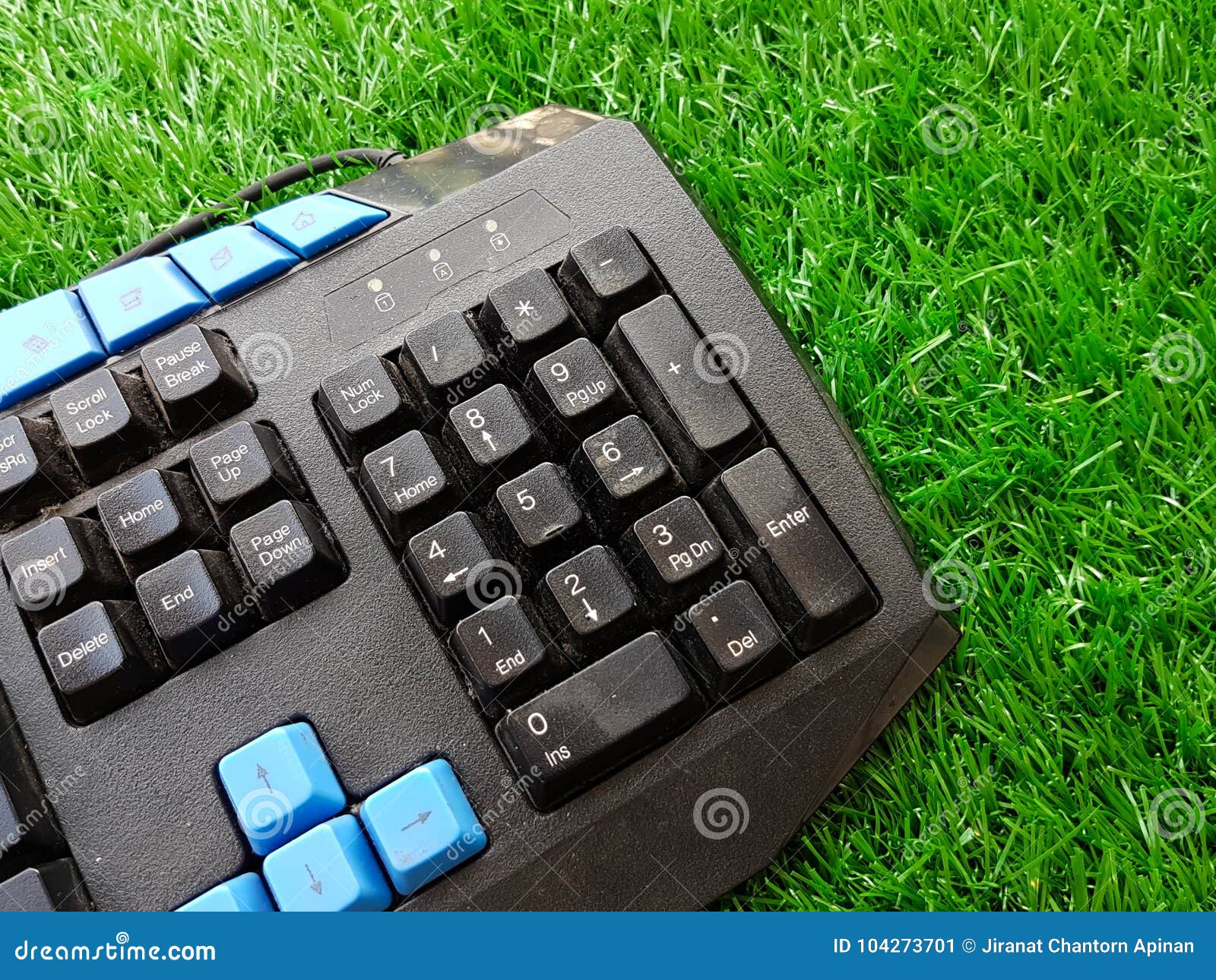 Decorate The Green Chillies And Potato Puris In A Steel Dish. Stock ...