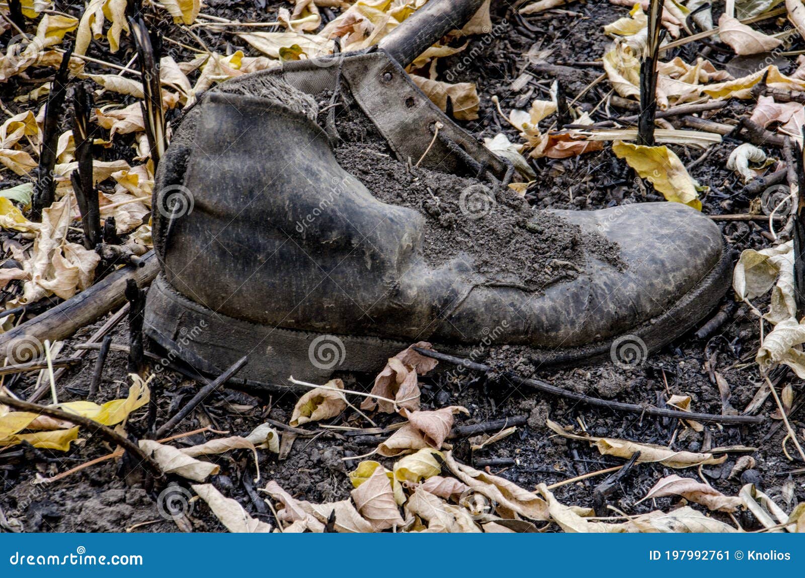 Old black lost boot. stock image. Image of leather, shoes - 197992761
