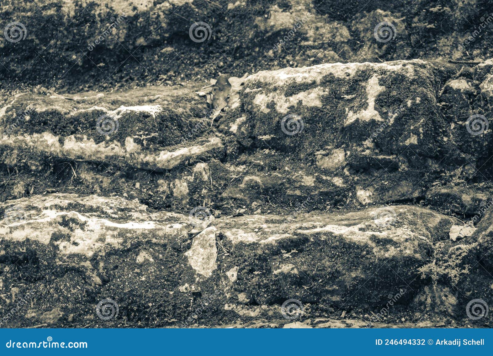 Ancient Mayan Site Texture Temple Ruins Pyramids Artifacts Muyil Mexico ...