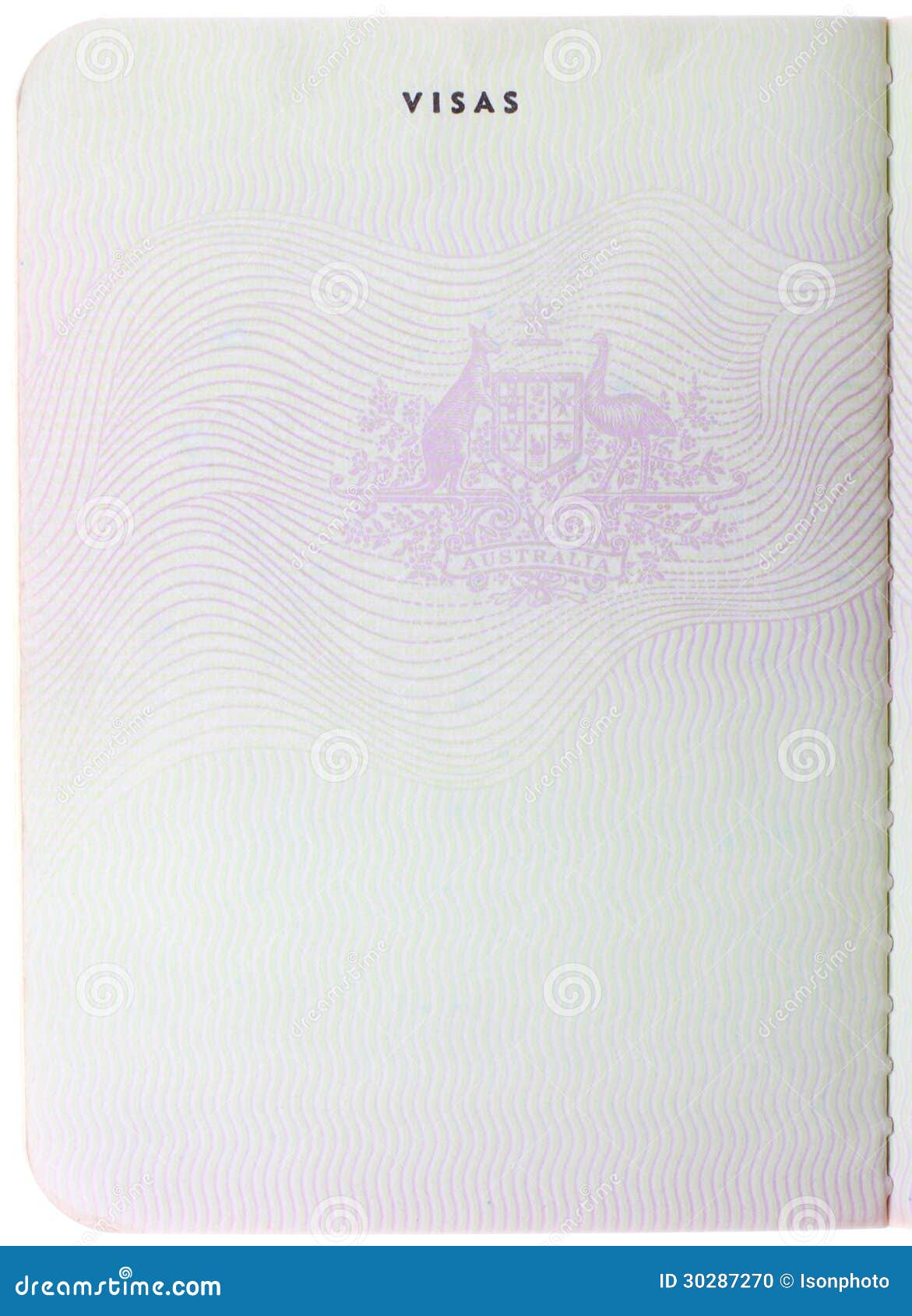 Passport Page Background