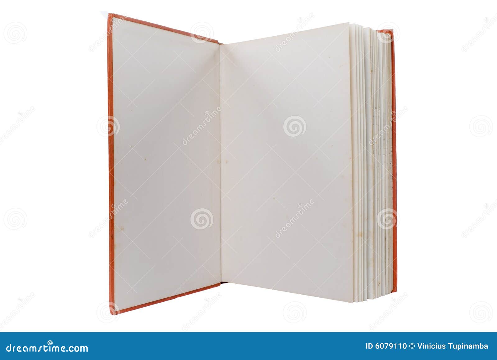 Old Blank Book stock photo. Image of culture, bookshop - 6079110