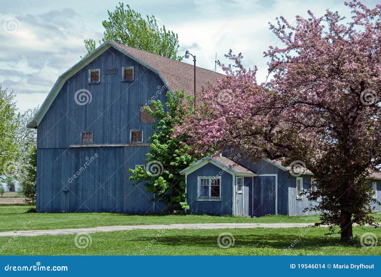 Old Blue Barn stock photo. Image of spring, architecture - 19546014