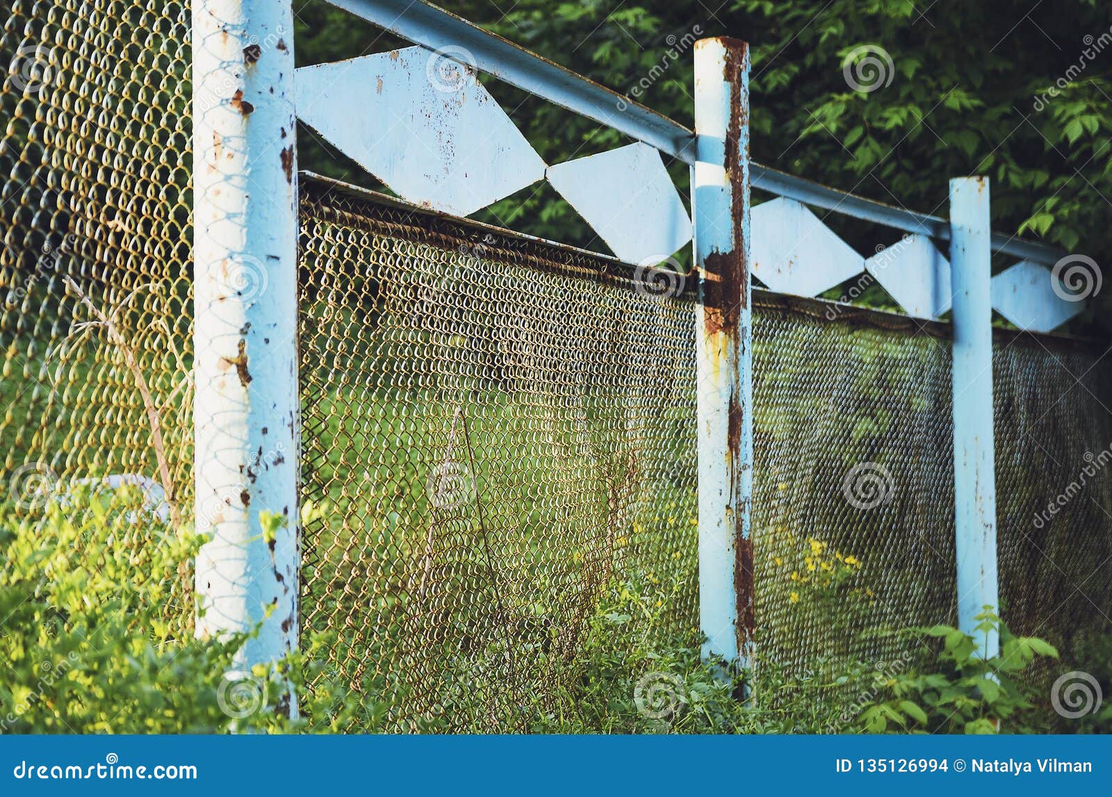 The Old Blue Fence of the Mesh-mesh Stock Photo - Image of frame ...