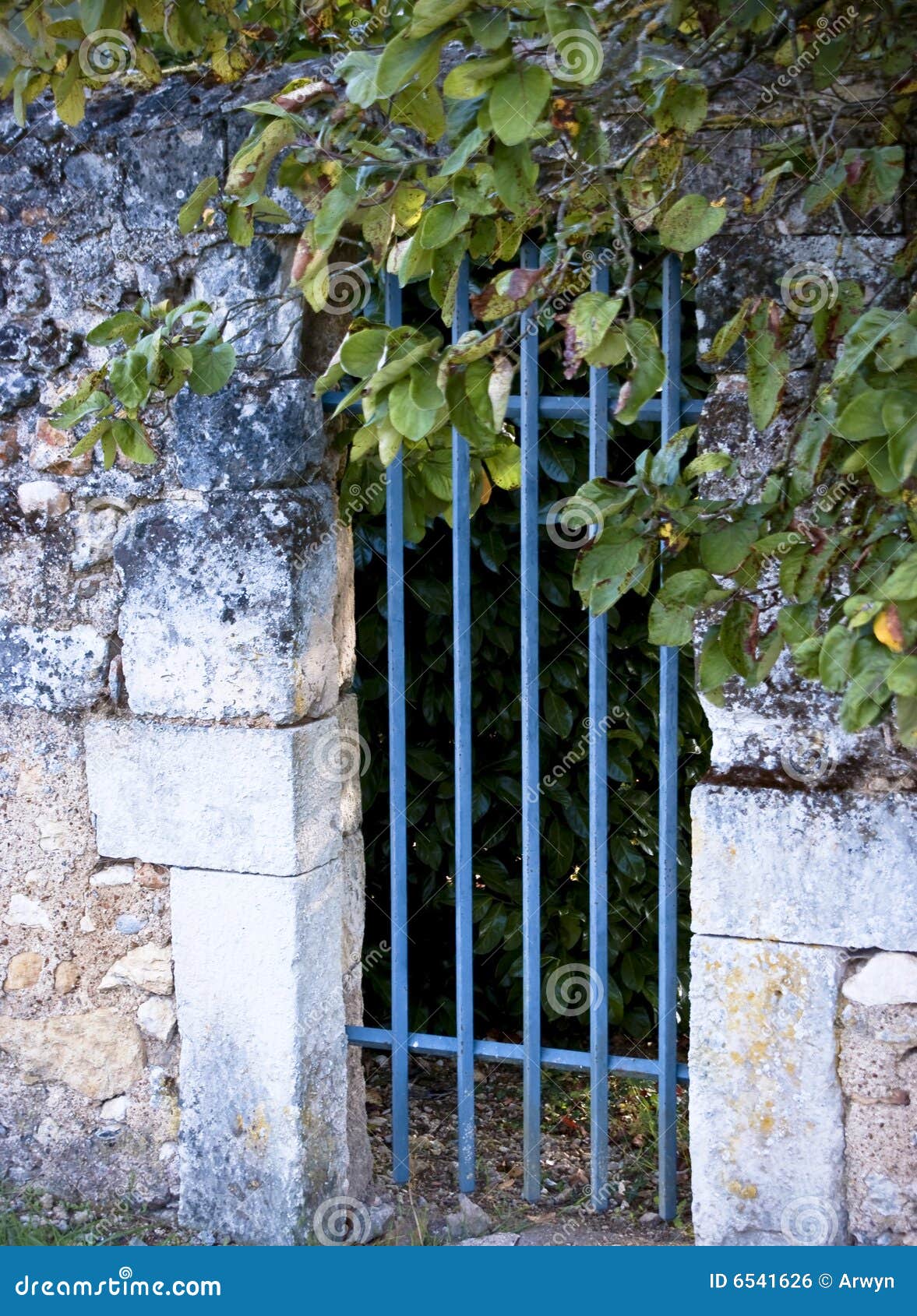 Old blue gate stock photo. Image of blue, pattern, antique - 6541626