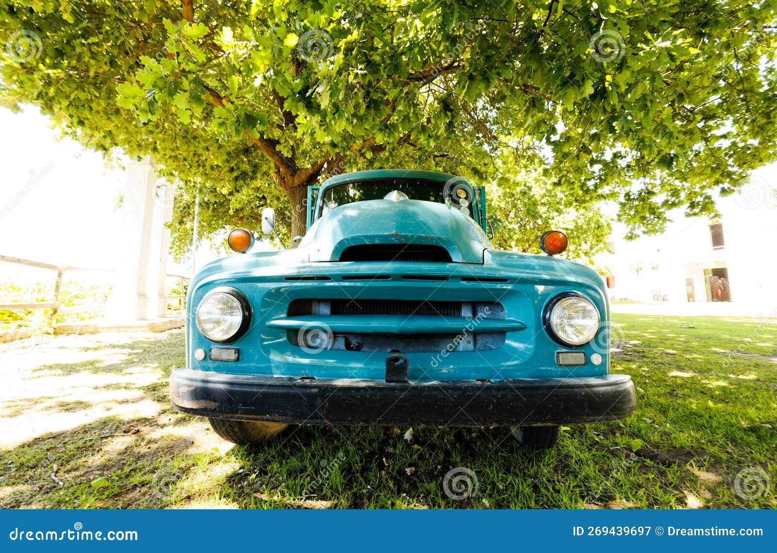 An Old, Blue International Lorry Parked Under an Oak Tree with Mottled ...