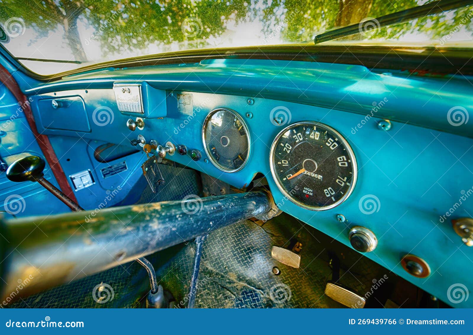 An Old, Blue International Lorry Parked Under an Oak Tree with Mottled ...