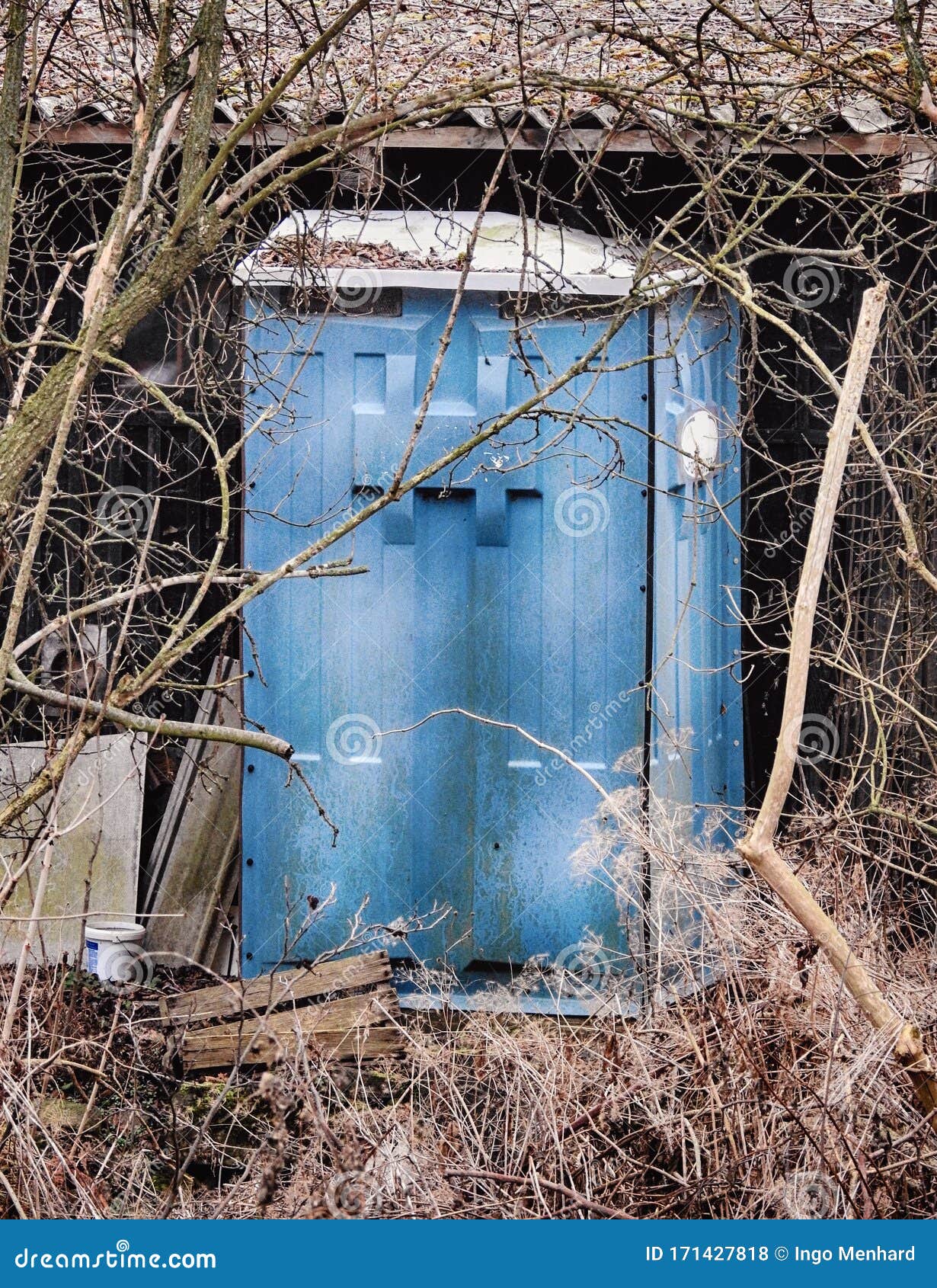 Old Blue Outhouse in the Backyard Stock Photo - Image of tree, plant ...
