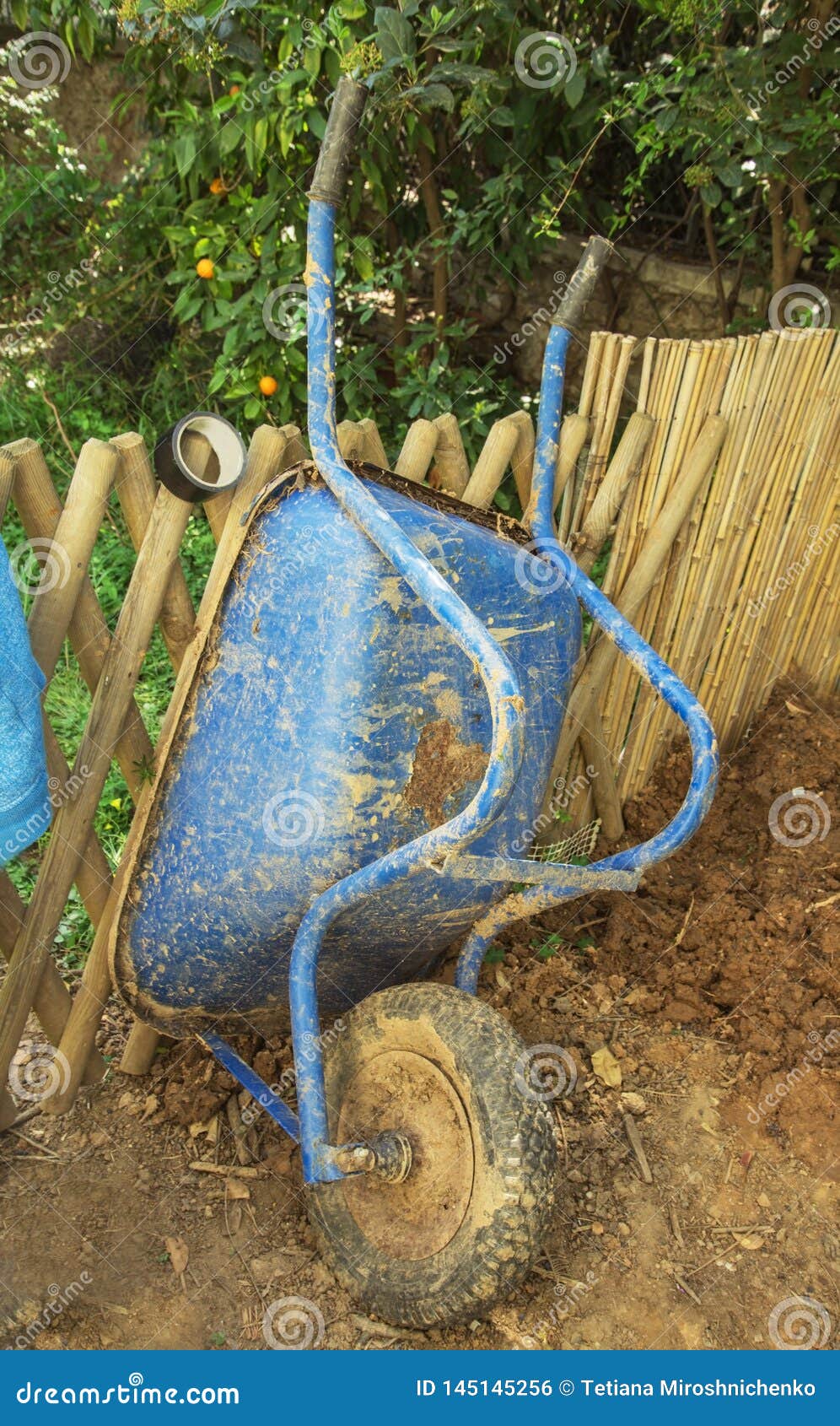 A Blue Wheelbarrow Is A Small Hand-propelled Vehicle, Top View Stock ...