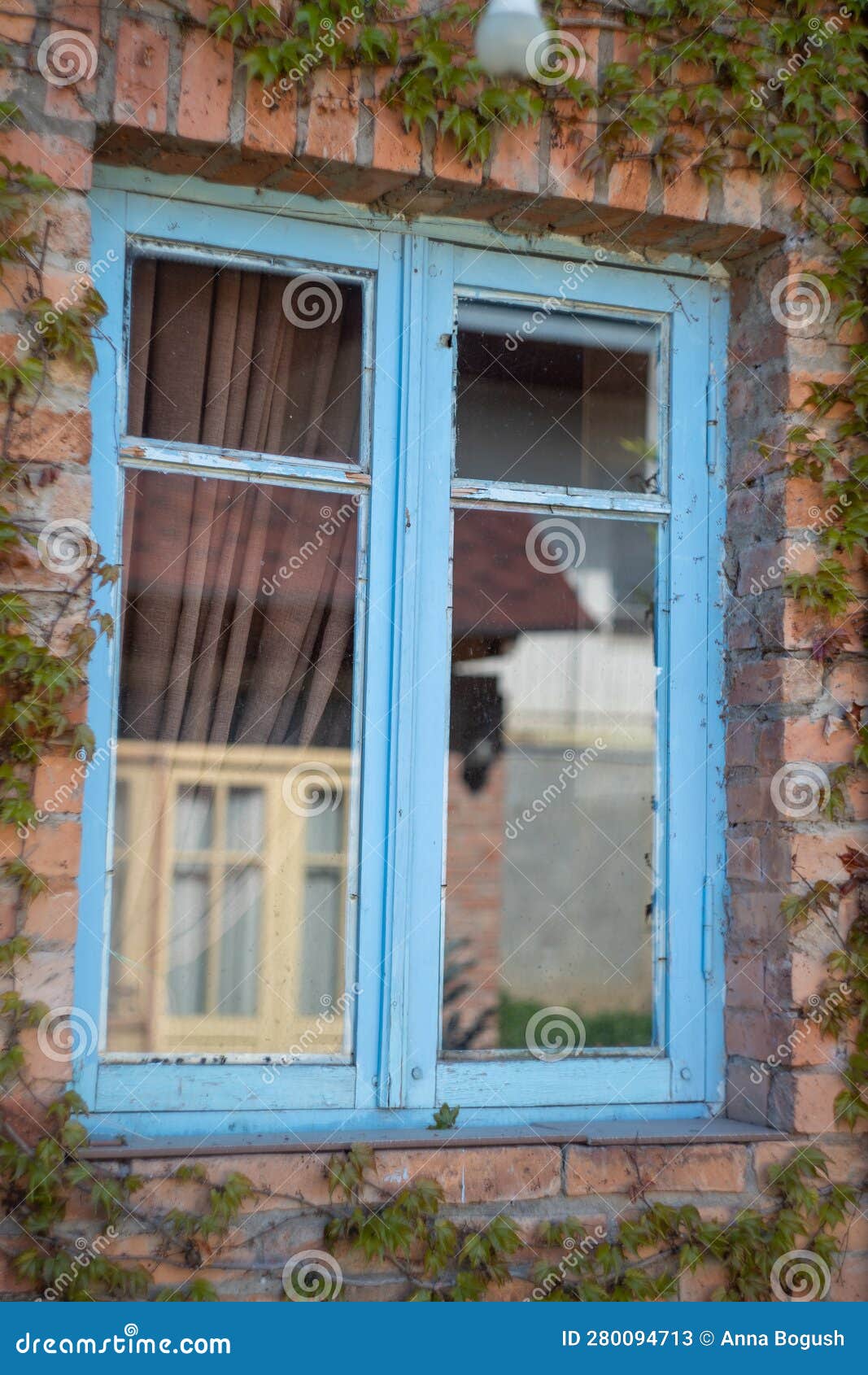 Old Blue Window and Red Brick Wall Stock Image - Image of spring, plant ...