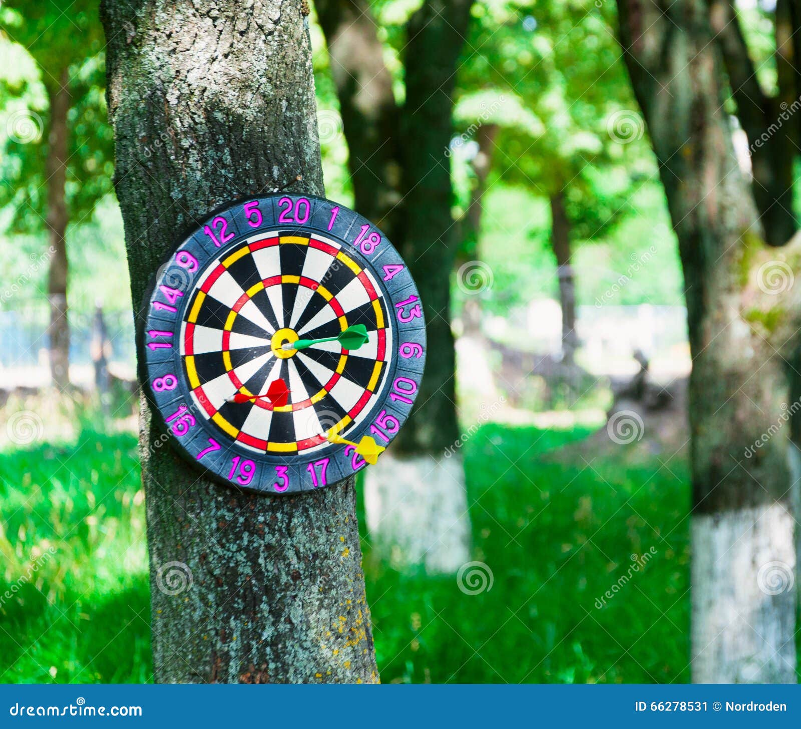 Old board game of darts. stock image. Image of park, competition - 66278531
