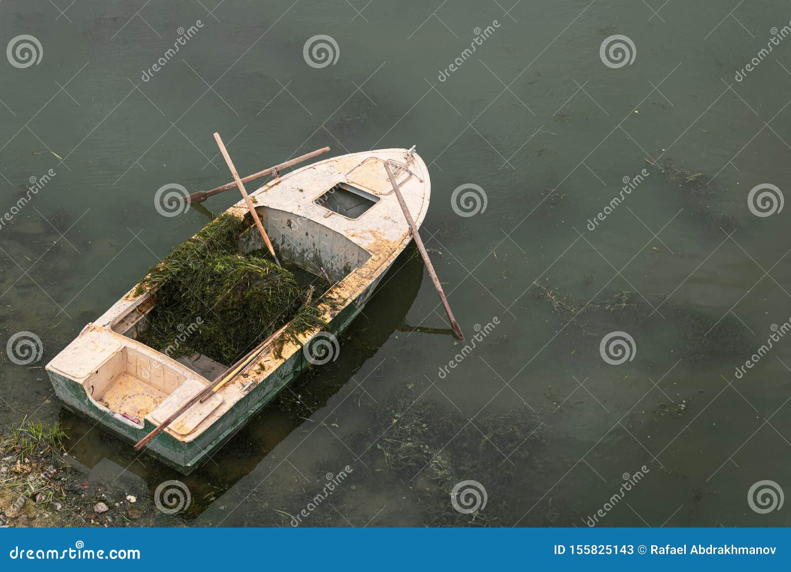 Old Boat in the Lake Near the Shore. Water Purification of the River ...
