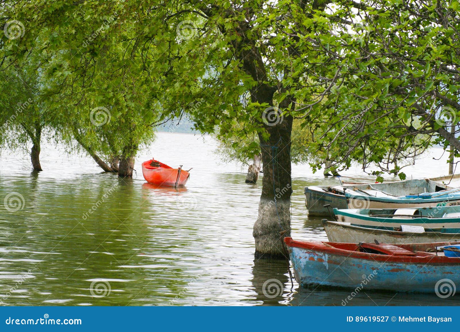 An old boat near the tree stock image. Image of autumn - 89619527