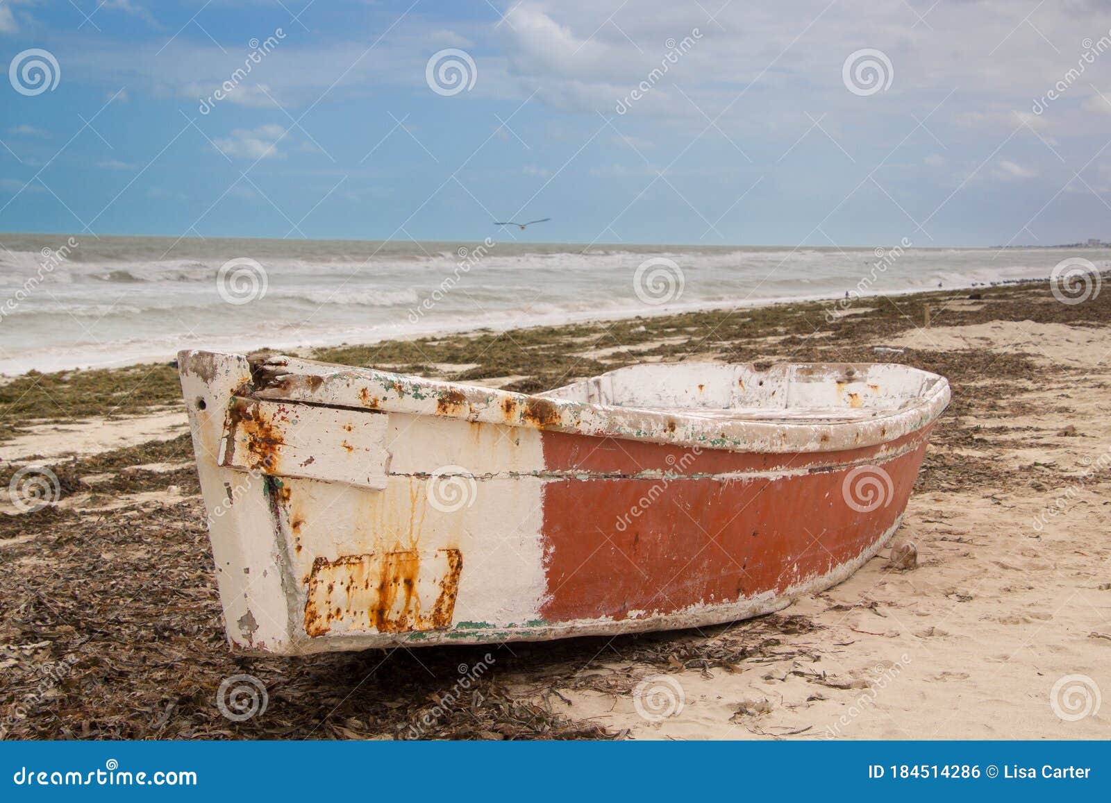 Rust Tin Can On The Beach. Garbage On The Beach. Marine Pollution ...