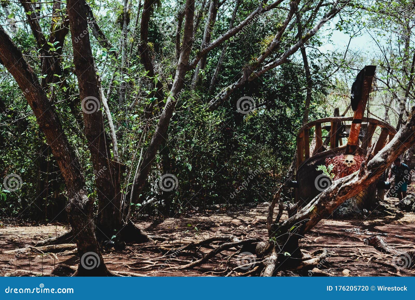 Old Boat Stuck in the Forest at Daytime Stock Photo - Image of branches ...