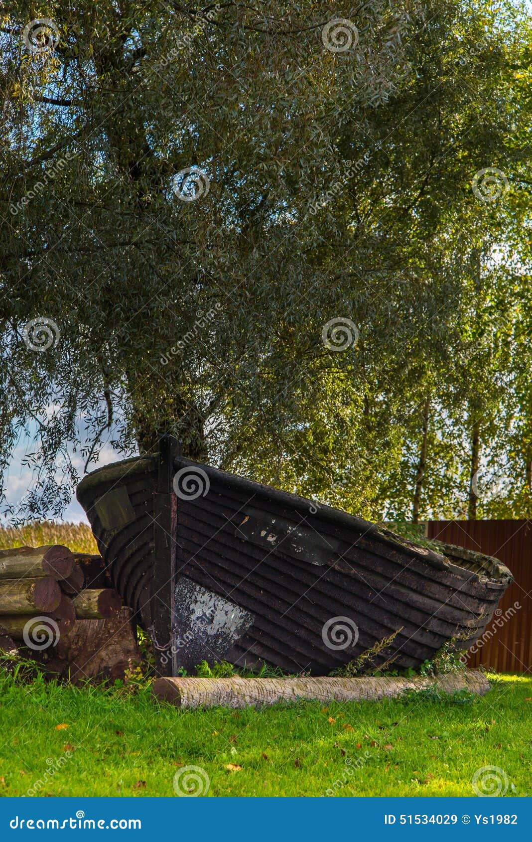 Old boat under a tree stock image. Image of restful, reflect - 51534029