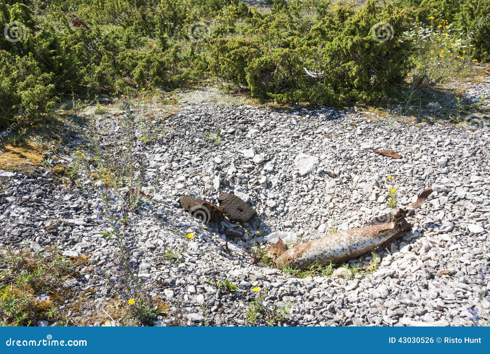 Old Bomb or Missile on the Ground Stock Photo - Image of shell, danger ...