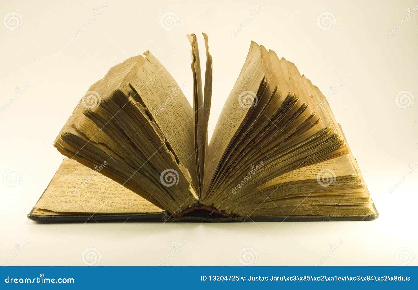 Old book stock image. Image of isolated, opened, pages - 13204725