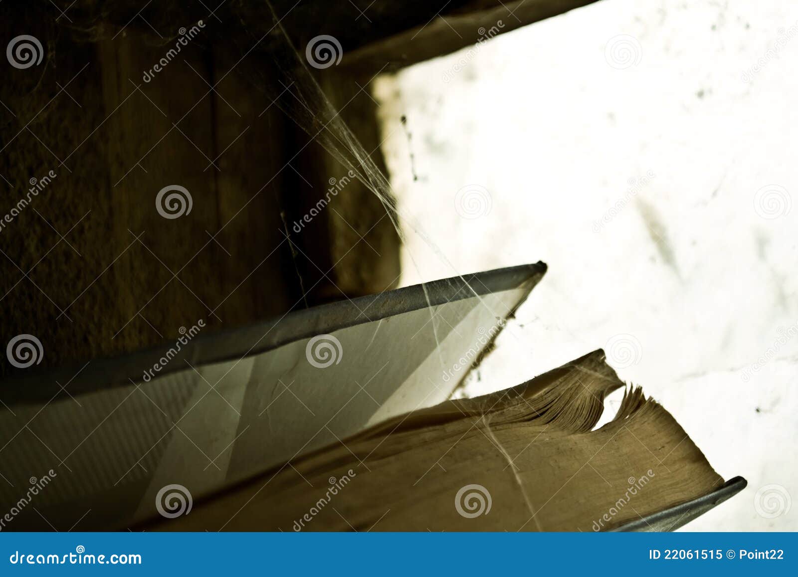 Spider Web Bible Stock Photos - Free & Royalty-Free Stock Photos from ...