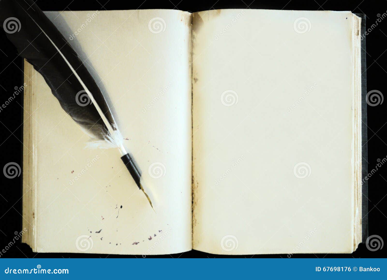 Old Book Blank Page and Feather Pen Stock Photo - Image of historic ... Old Book Blank Page and Feather Pen Stock Photo - Image of historic ...