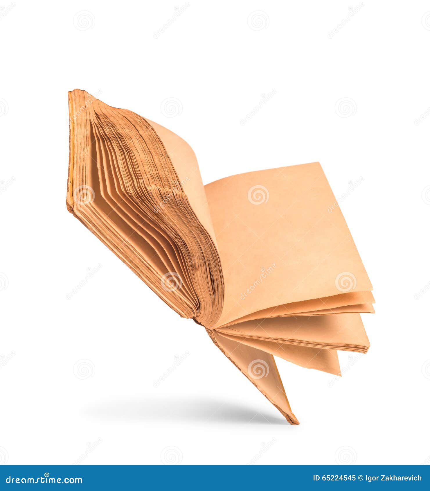Old Book with Blank Yellow Stained Pages Stock Image - Image of author ...