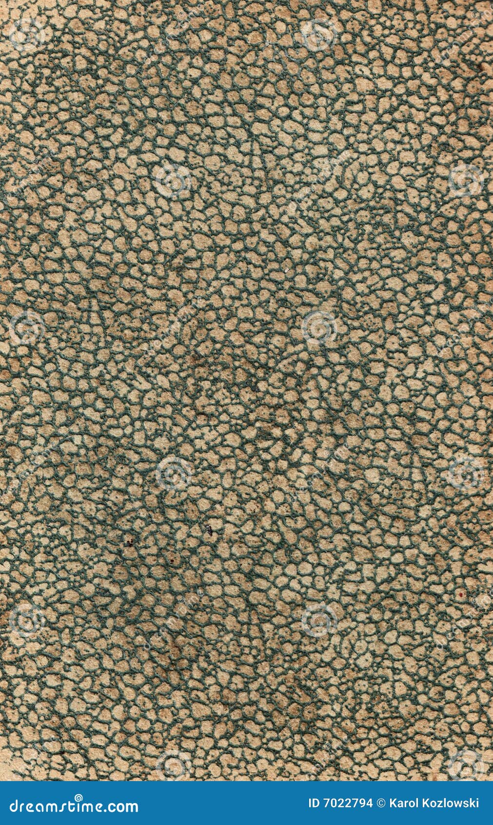 Old Book Cover Texture stock photo. Image of aging, brown - 7022794