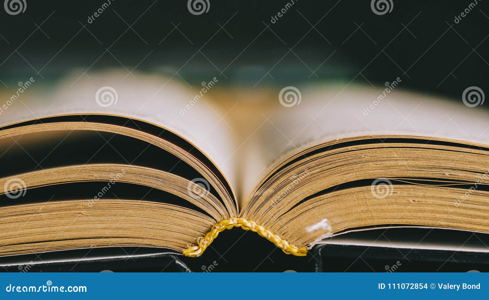 Book from Library stock photo. Image of line, book, education - 111072854
