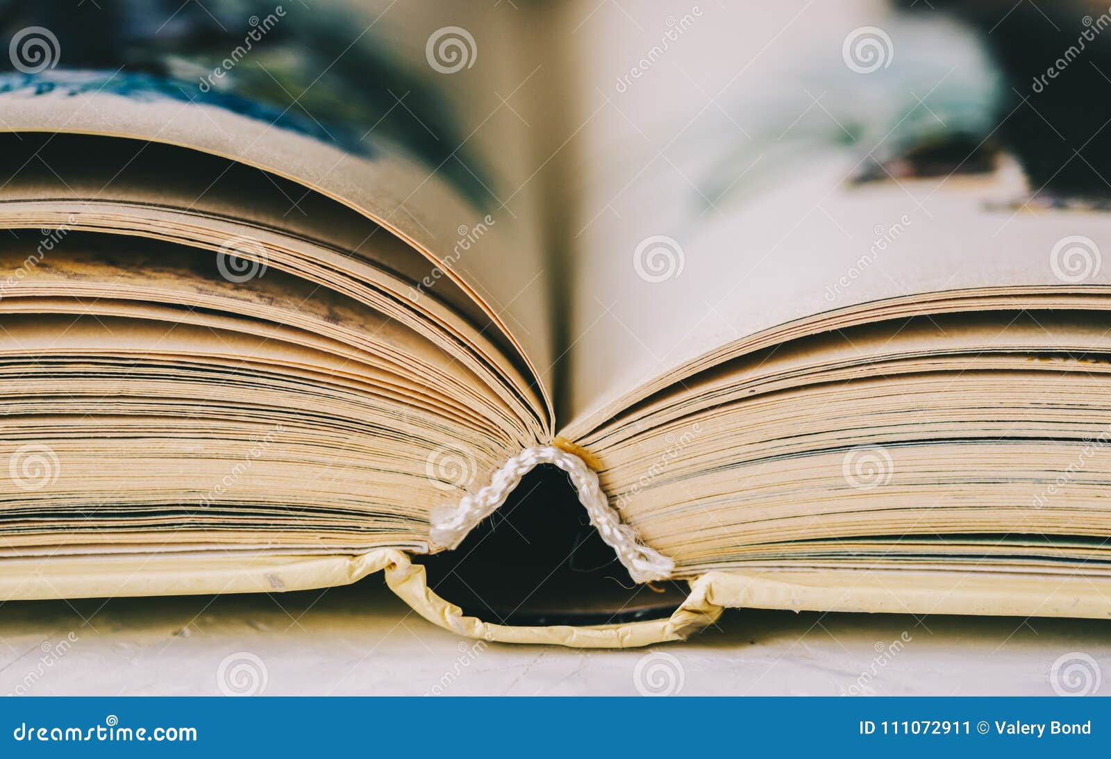 Book from Library stock image. Image of literature, blue - 111072911