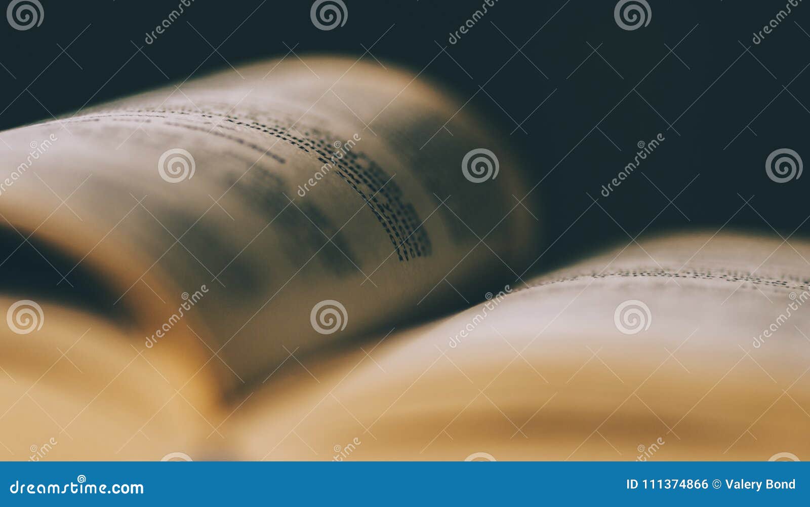 Book from Library stock photo. Image of concept, document - 111374866