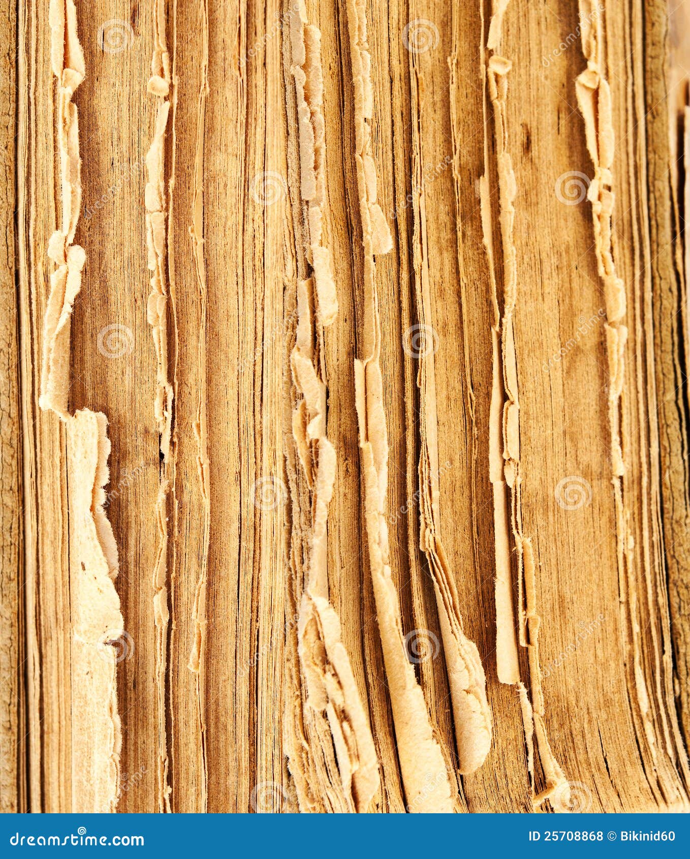 Book Pages Side Texture