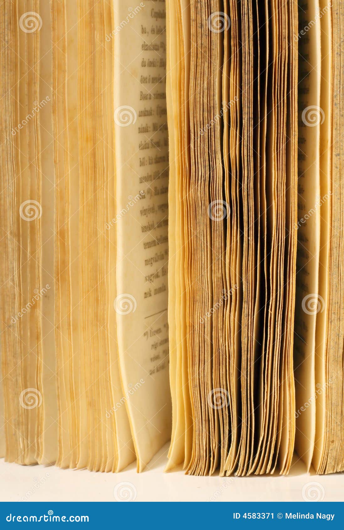 Old book pages stock image. Image of antique, open, novel - 4583371