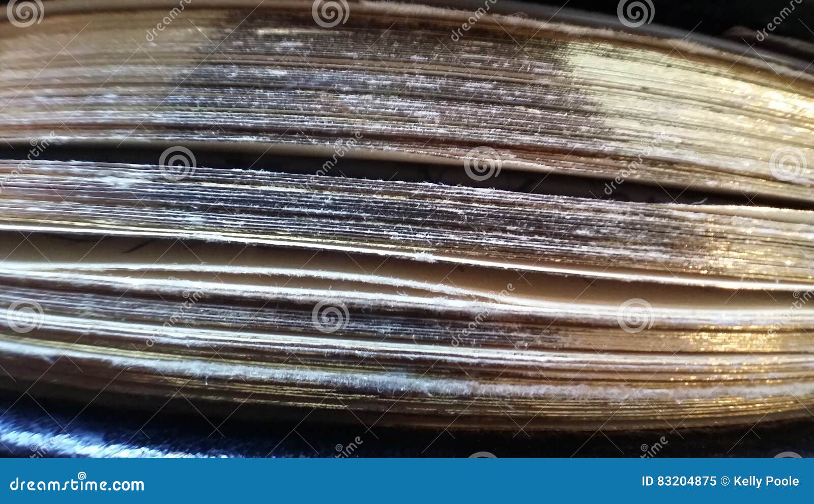 Old book pages stock image. Image of angle, gold, front - 83204875