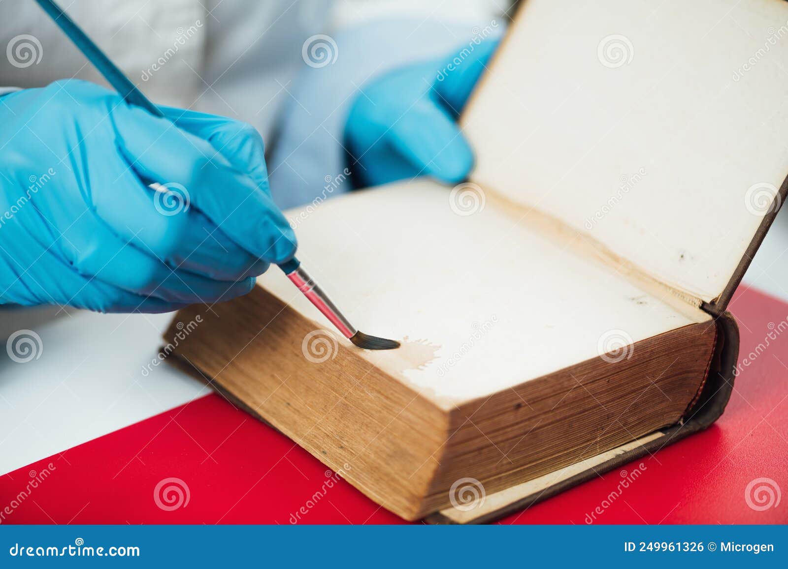 Old Book Repair in Restoration Laboratory Stock Photo - Image of ...