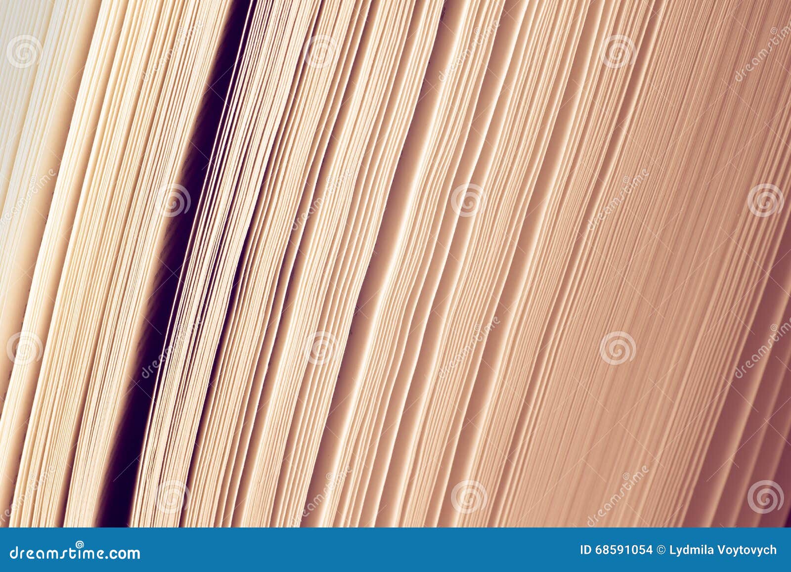 Old Book. Seamless Texture of Book Pages Stock Photo - Image of macro ...
