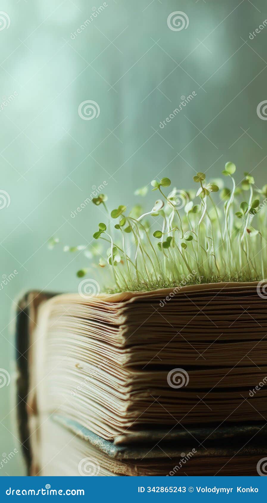 Old Book with Sprouts Growing from Pages, Concept of Knowledge and ...