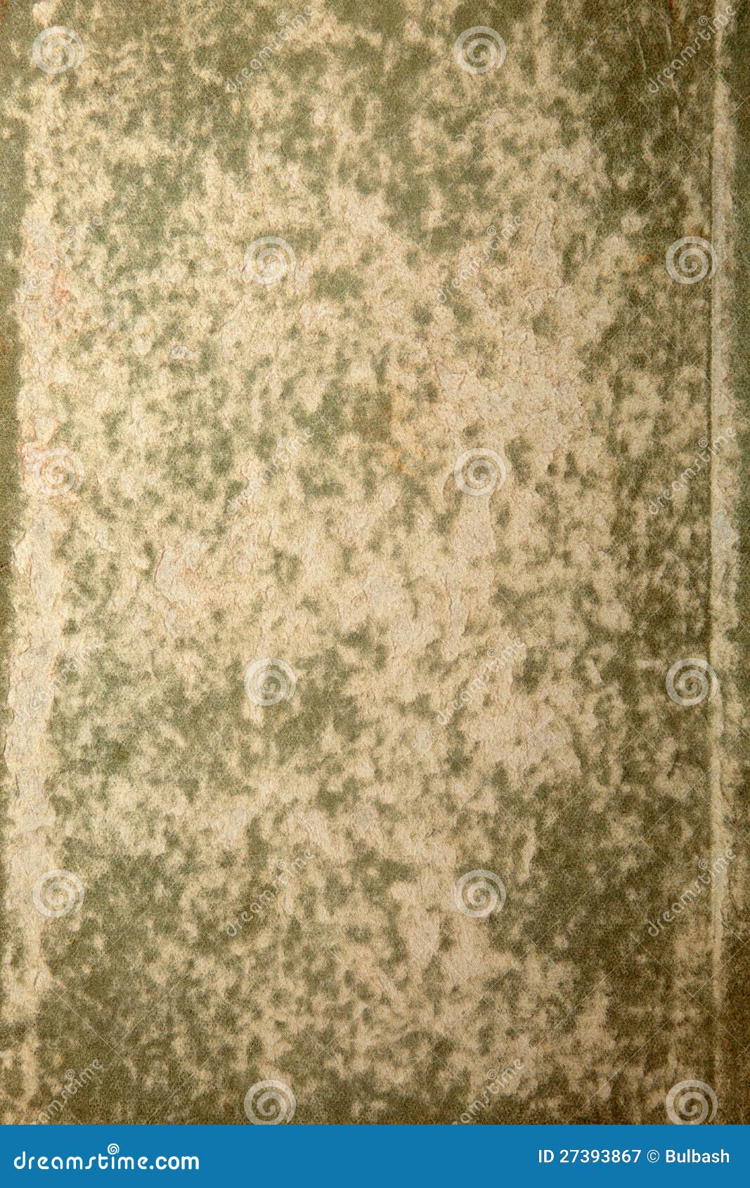 Old Open Book Texture