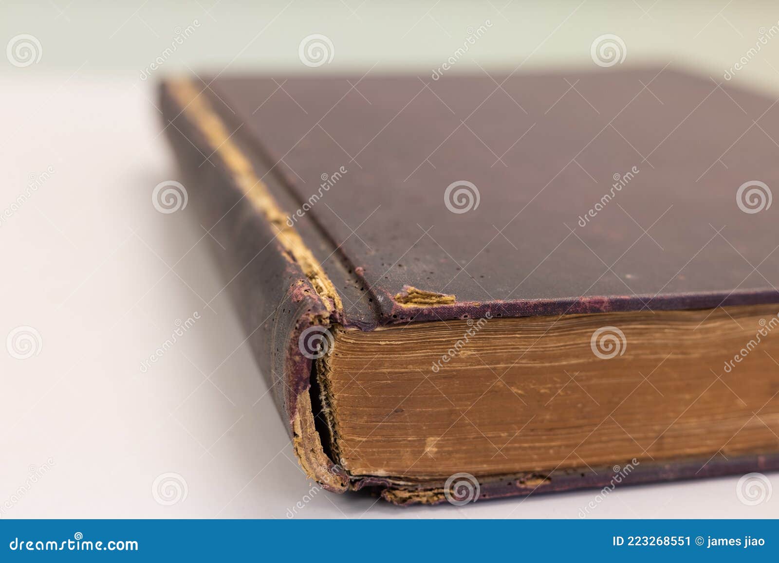 An Old Book with Worm Damage Stock Image - Image of holy, tattered ...