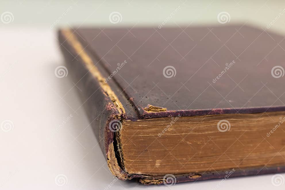 An Old Book with Worm Damage Stock Image - Image of holy, tattered ...