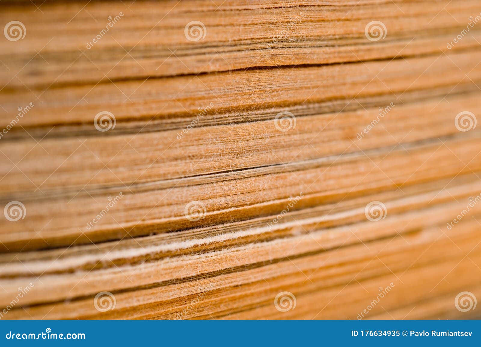 An Old Book with Yellowed Pages and a Battered Cover. Background for ...