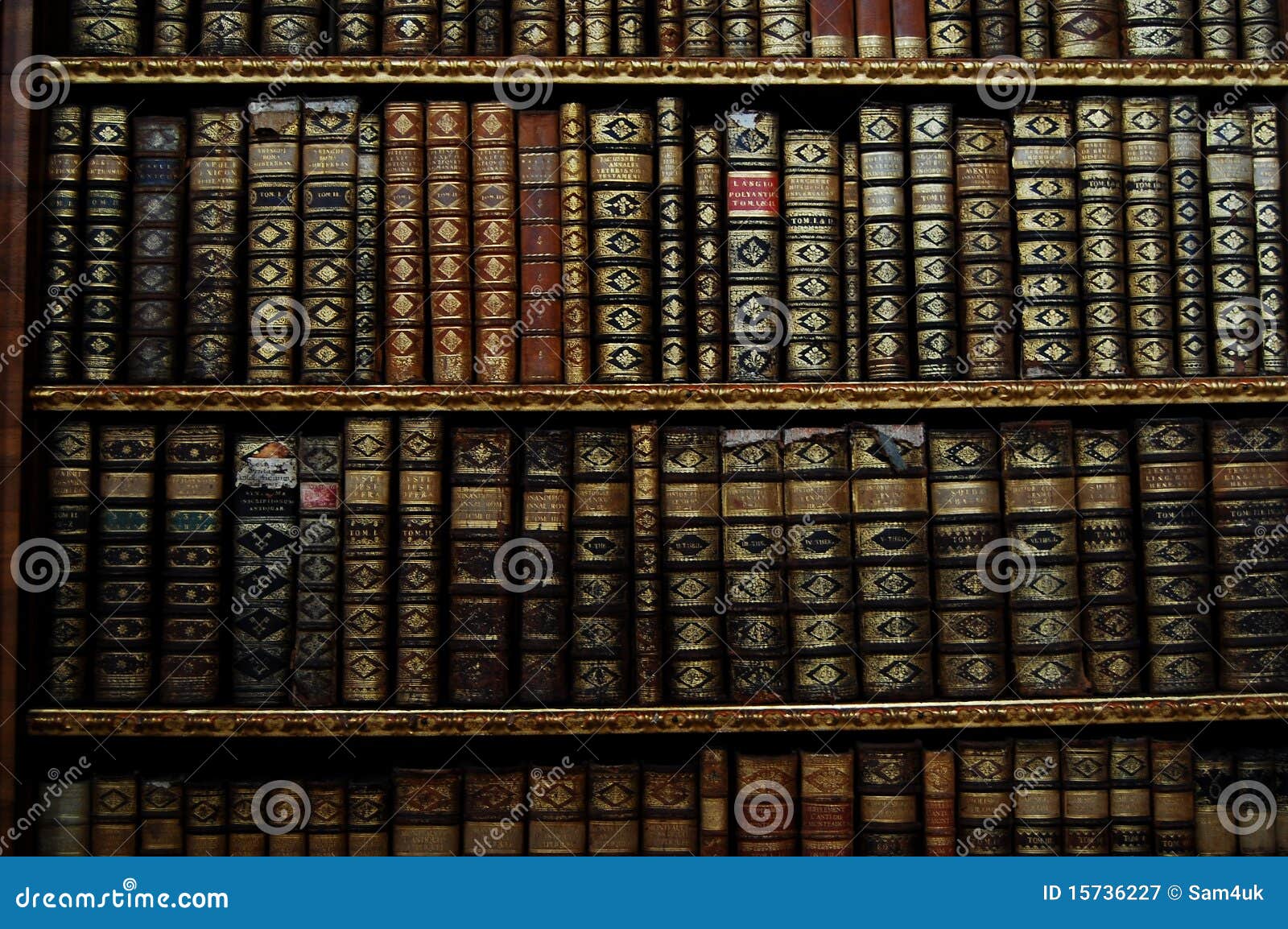 Old books stock image. Image of tomes, bookshelves, decorated - 15736227