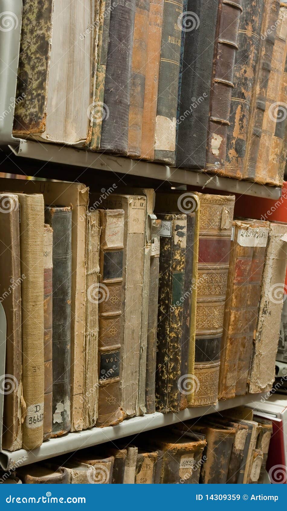 Old Books in Library Database Stock Image - Image of repository, book ...