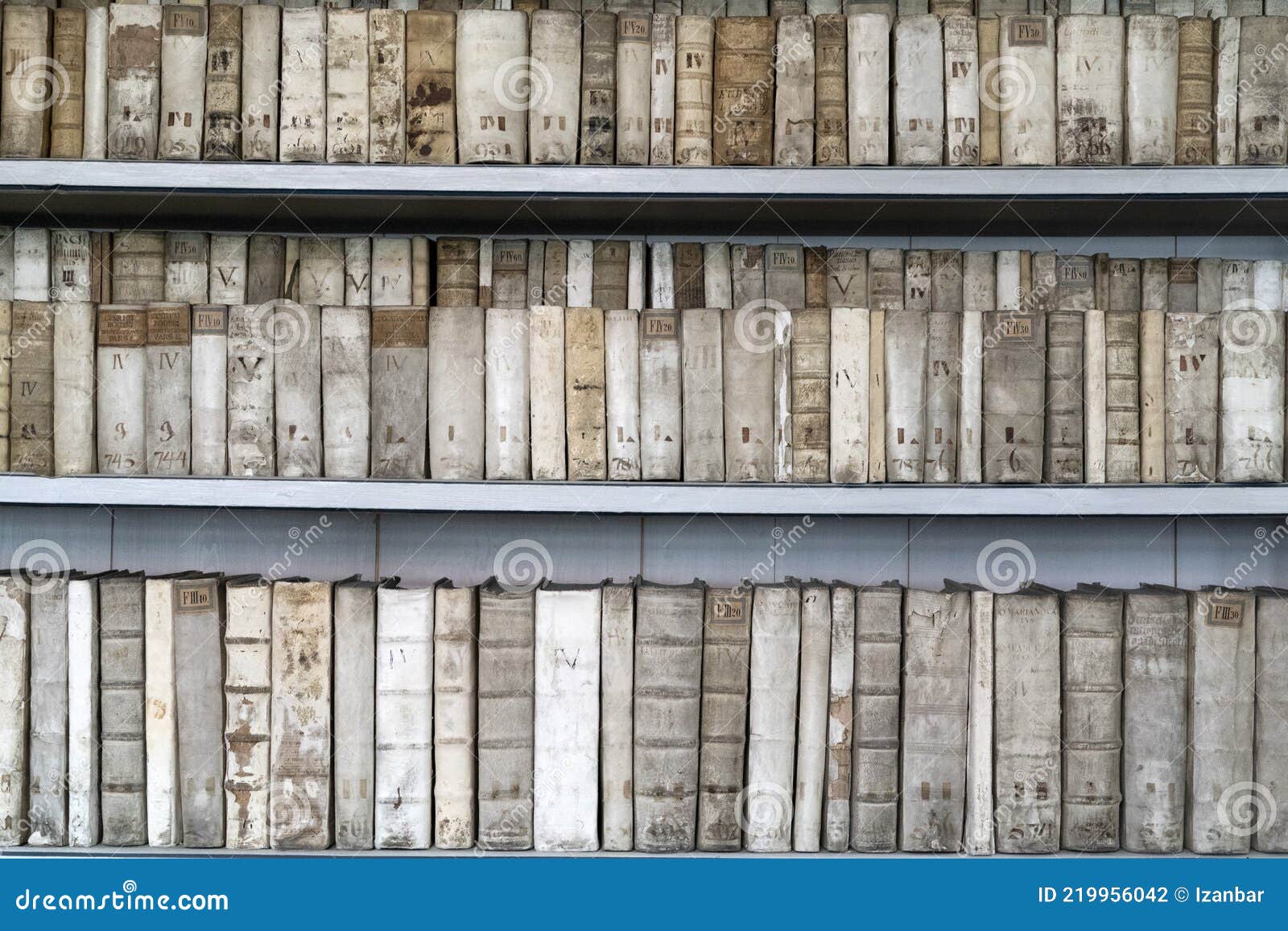 Old books in library editorial photography. Image of shelf - 219956042