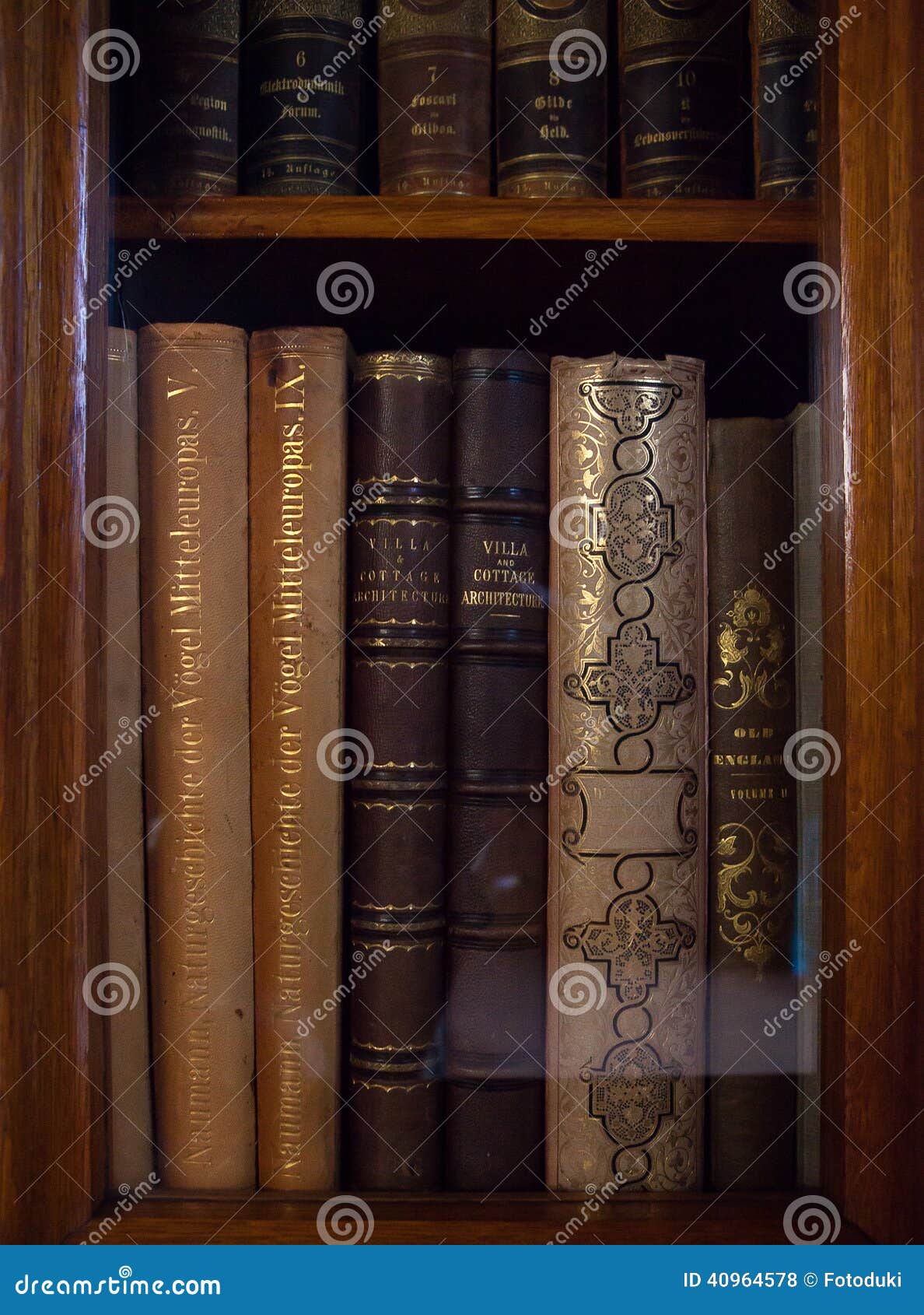 Old books in a old library editorial stock photo. Image of thesaurus ...