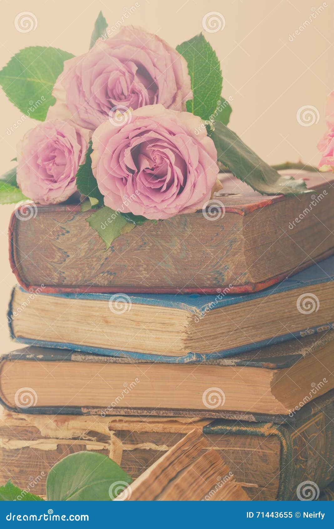Old books with rose flower stock image. Image of note - 71443655
