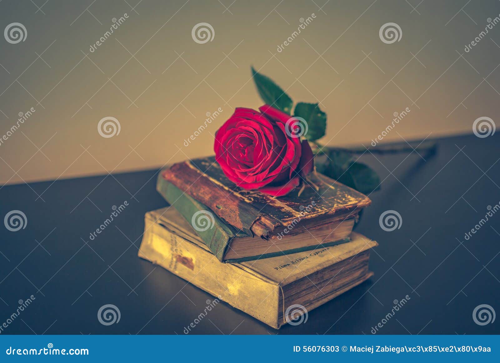 Old books and rose stock image. Image of decoration, romance - 56076303