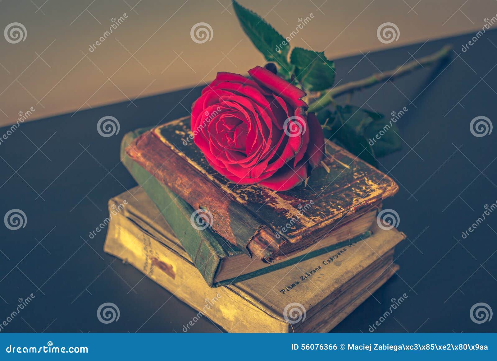 Old books and rose stock photo. Image of floral, beautiful - 56076366