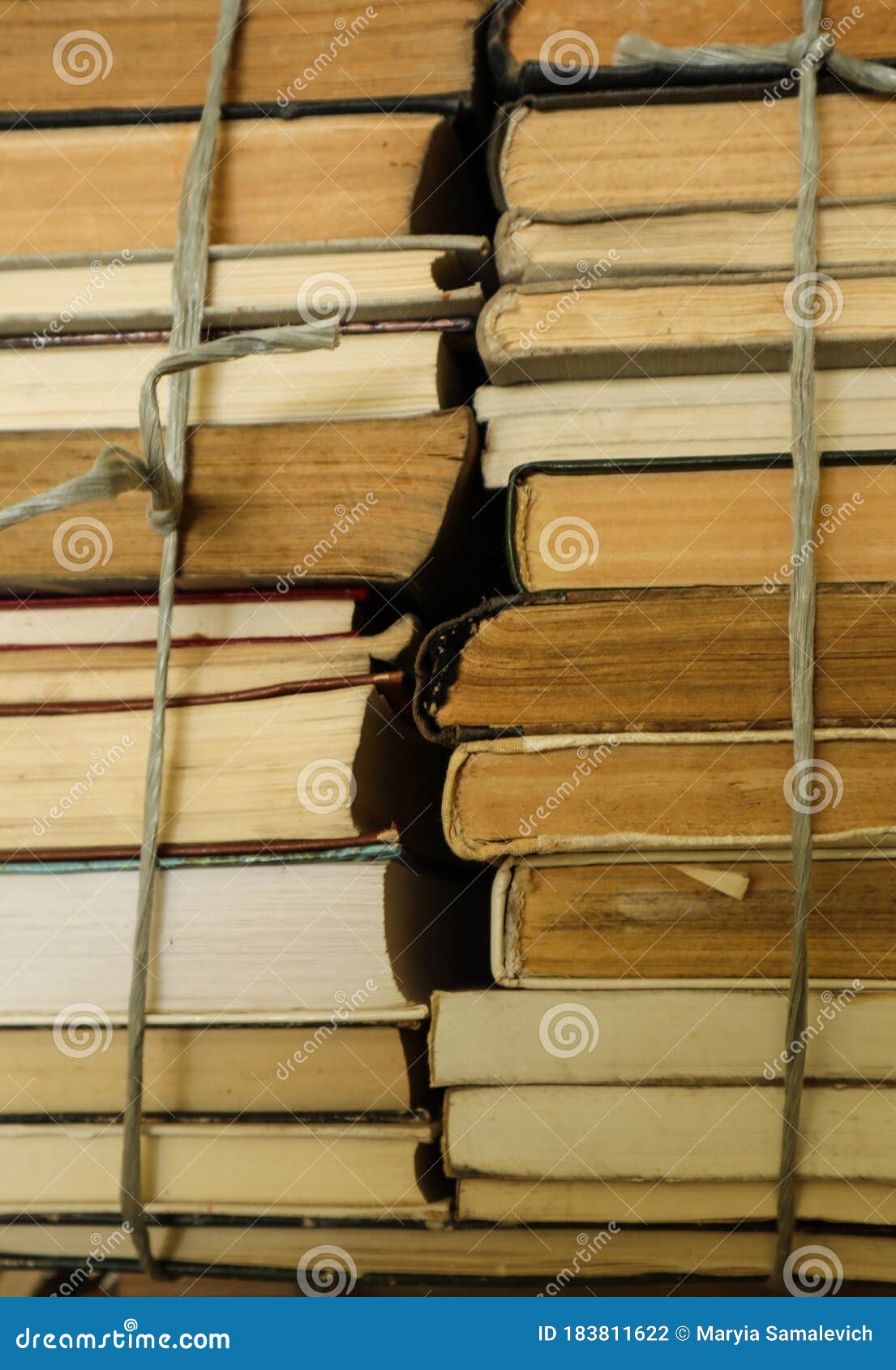 Collecting waste paper stock photo. Image of literature - 183811622