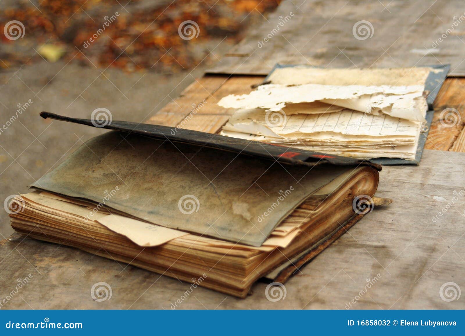 Old books on a table stock photo. Image of lonely, nature - 16858032