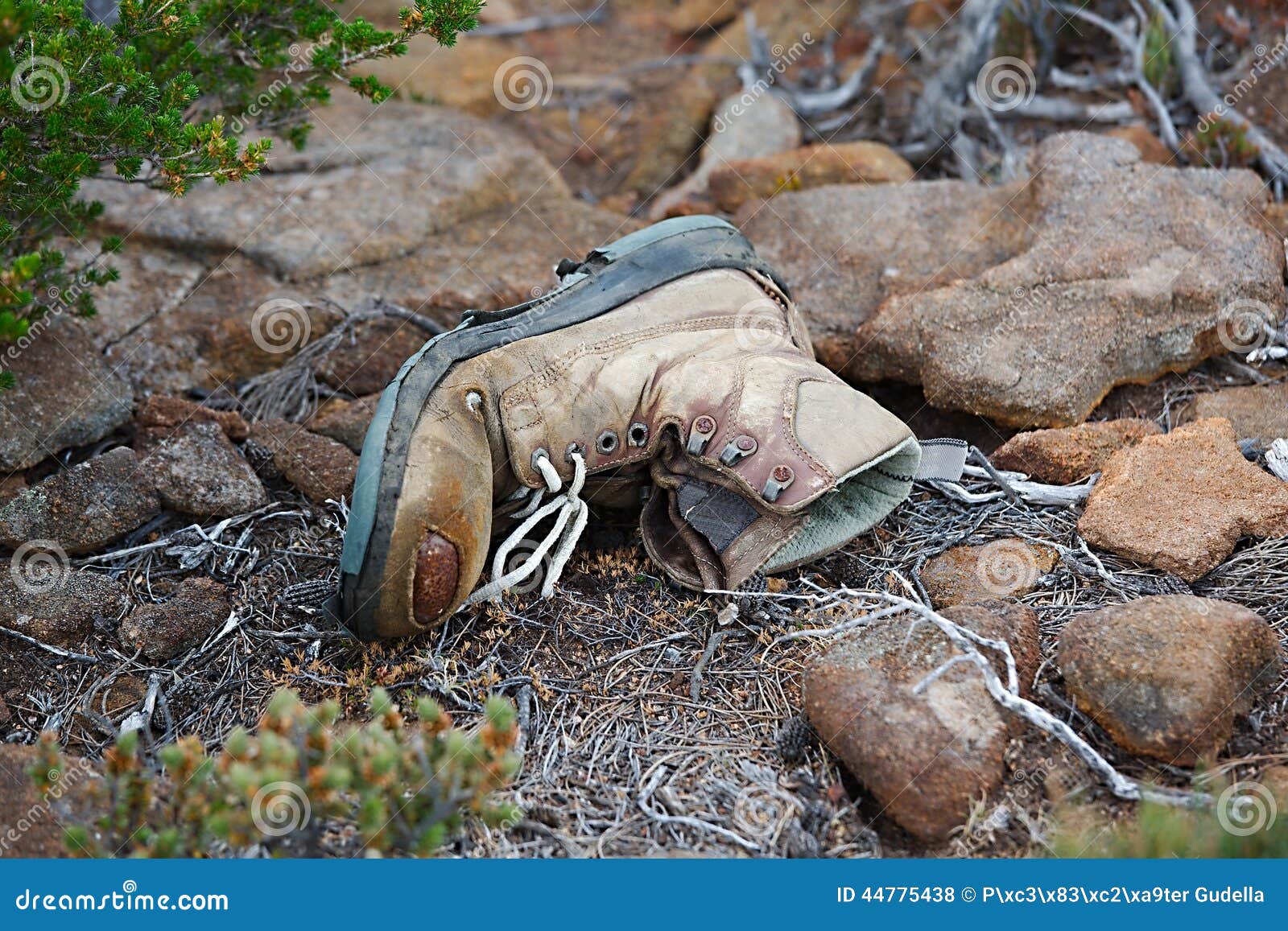 Old Boot stock photo. Image of abandoned, long, rugged - 44775438