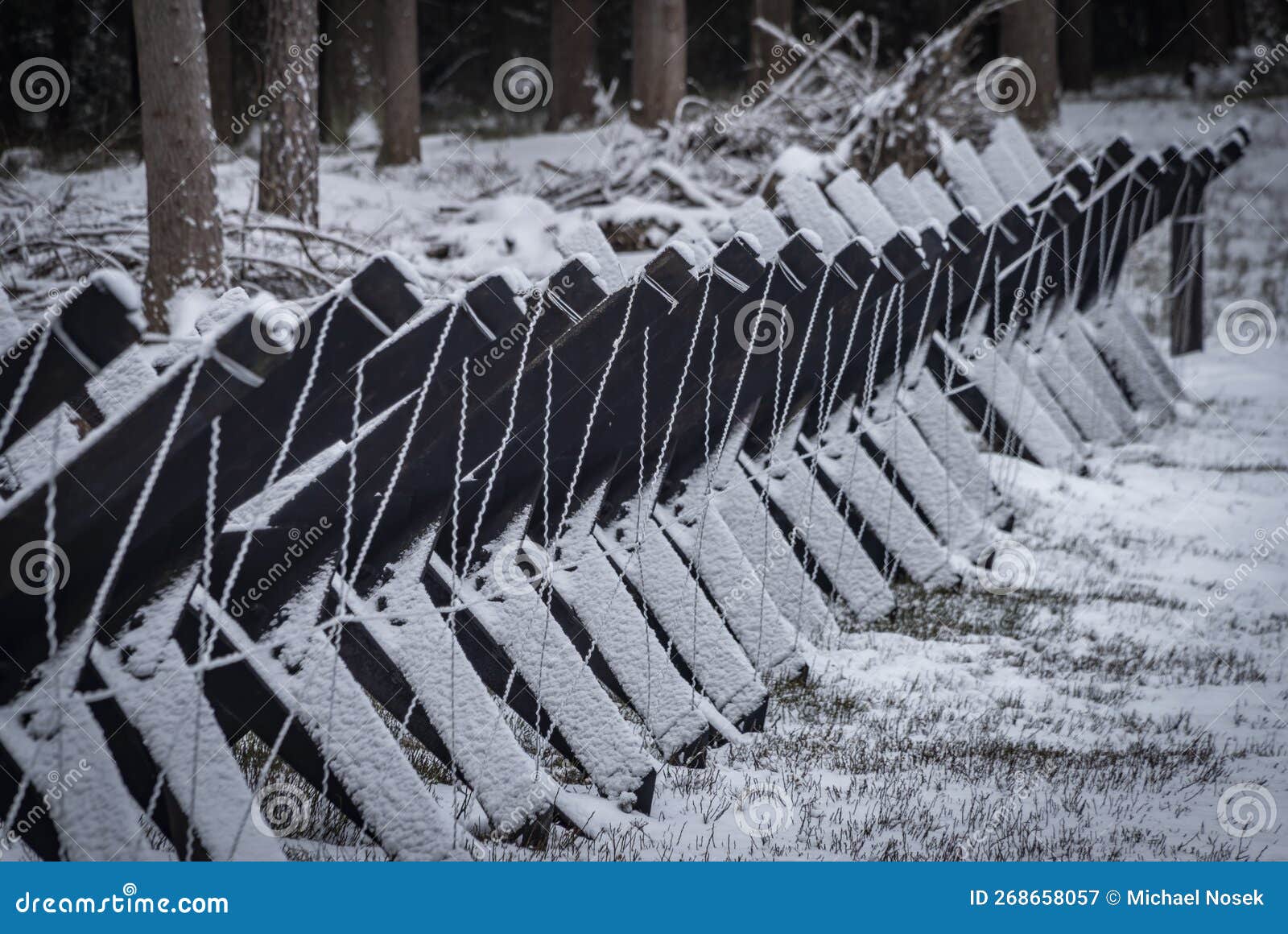 Old Border Barrier in Forest Black and White View Stock Image - Image ...
